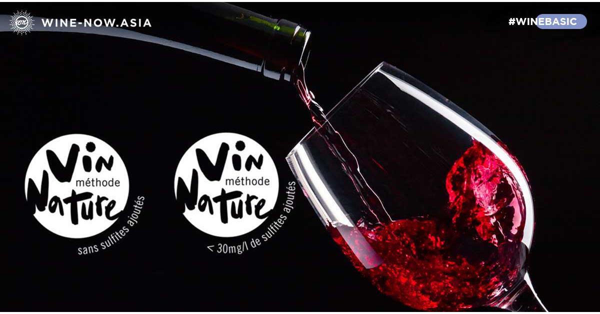 Blog - Vin Méthode Nature สัญลักษณ์ของ Nature Wine ฝรั่งเศส | WINE-NOW