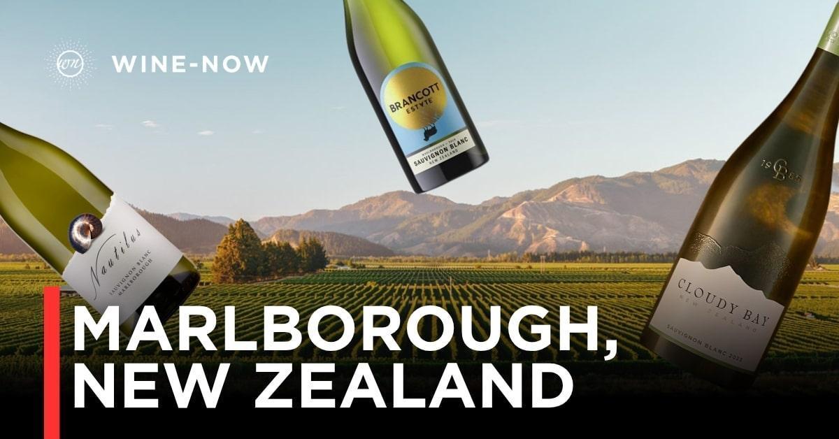 Blog - Marlborough, New Zealand – ดินแดนแห่ง Sauvignon Blanc เขย่าโลก ...