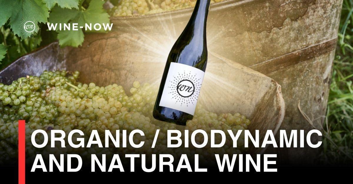 Blog - ไวน์ Organic / Biodynamic / Natural ต่างกันอย่างไร? | WINE-NOW