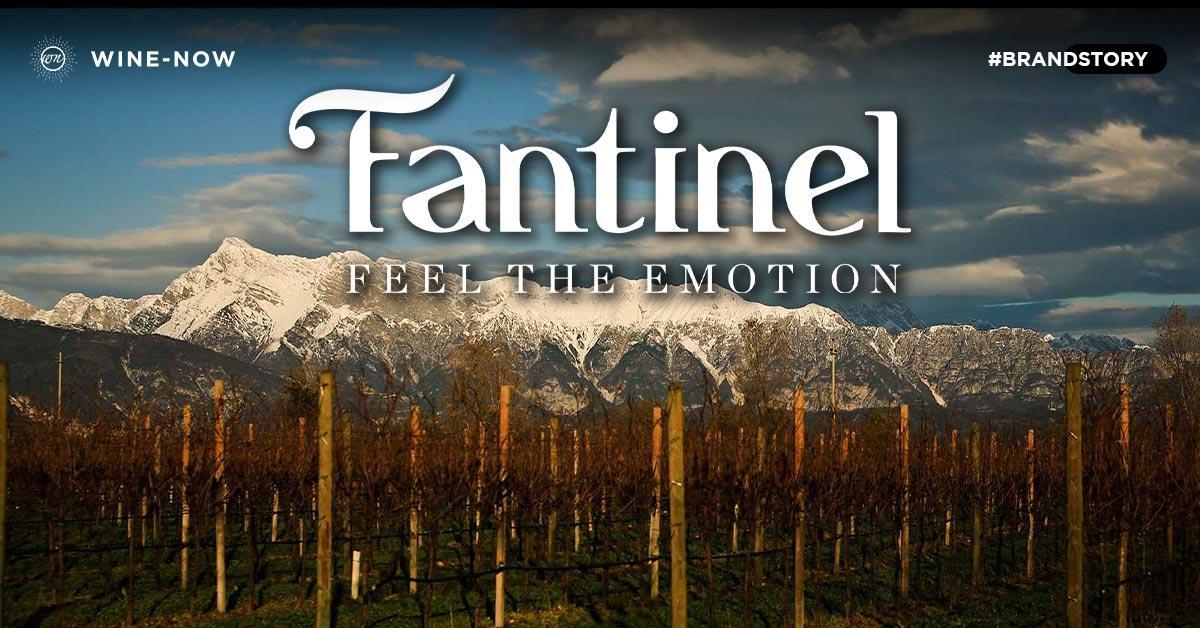 Blog - Fantinel - Italian Wine ที่มุ่งมั่นมอบความสุขให้ผู้ดื่ม | WINE-NOW