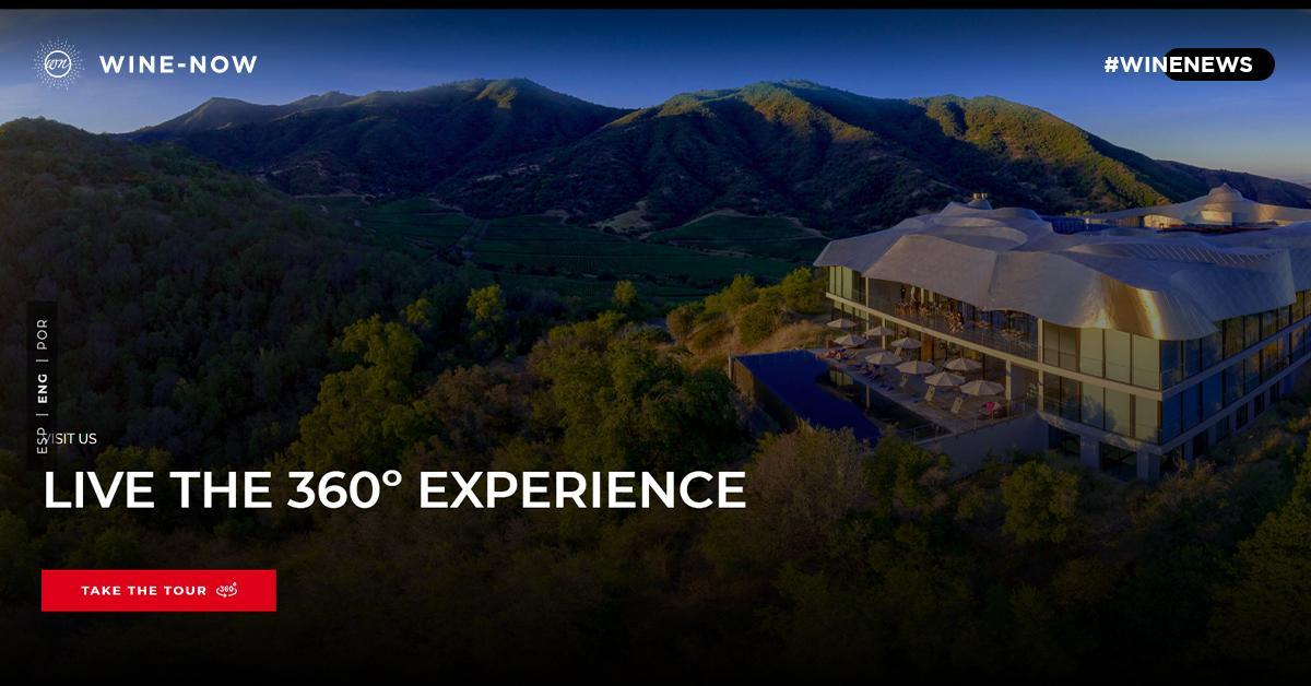 Blog - Winery ใน Chile เปิดตัว Virtual Tour 360 องศา | WINE-NOW
