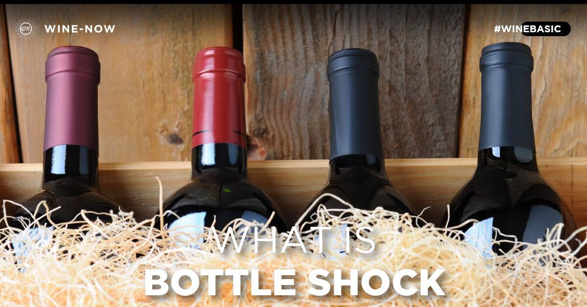 Blog - Bottle Shock เมื่อการเดินทางนาน ๆ มีผลต่อรสชาติไวน์ | WINE-NOW