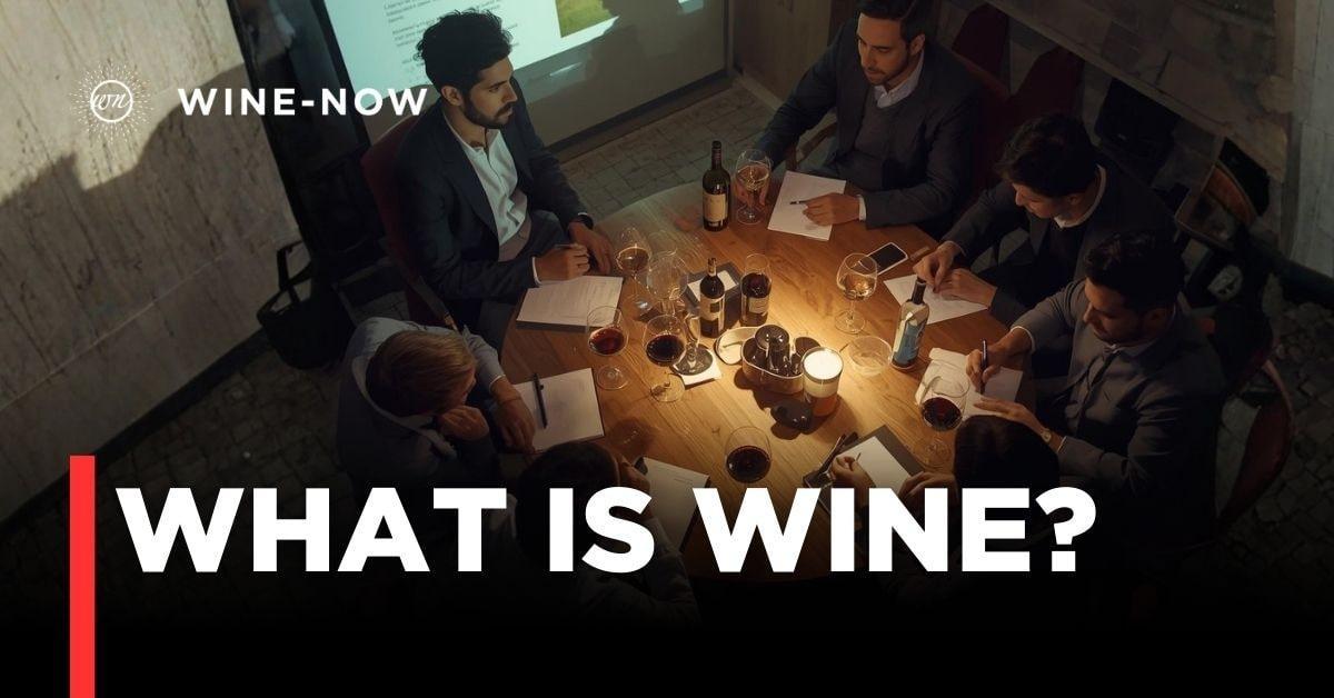 Blog - Wine Class : ไวน์คืออะไร? เกิดขึ้นได้อย่างไร? | WINE-NOW