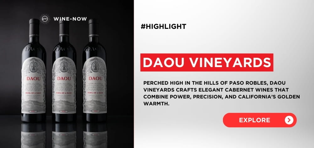 Daou | WINE-NOW