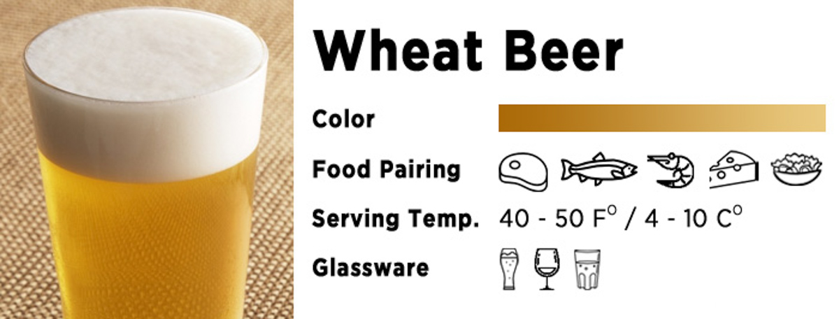 Blog - ชนิดและประเภทของ "Beer (เบียร์)" | LIQ9