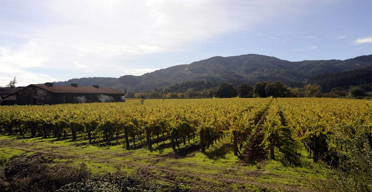 Blog - David - Victoria ได้ไฟเขียว สร้าง Wine Cellar ขนาดยักษ์ | WINE-NOW