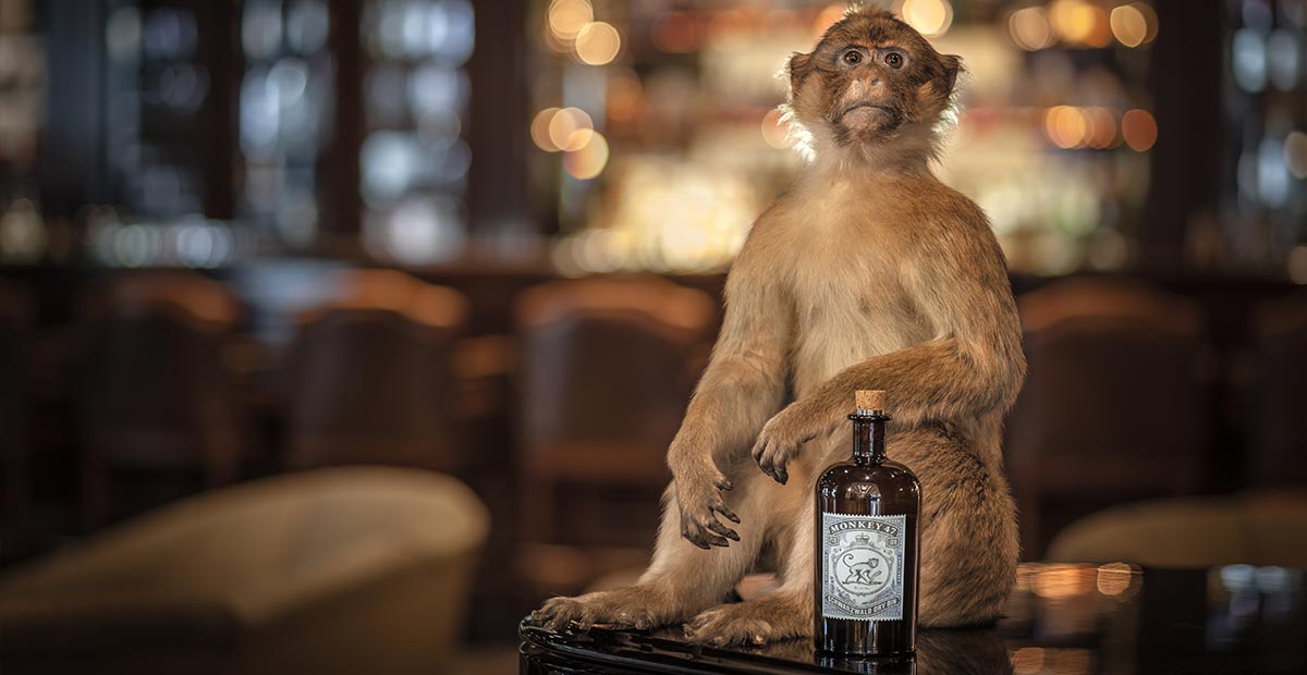 Blog - Monkey 47 อีกหนึ่งฉลาก Gin ที่ดีที่สุดของโลก | LIQ9