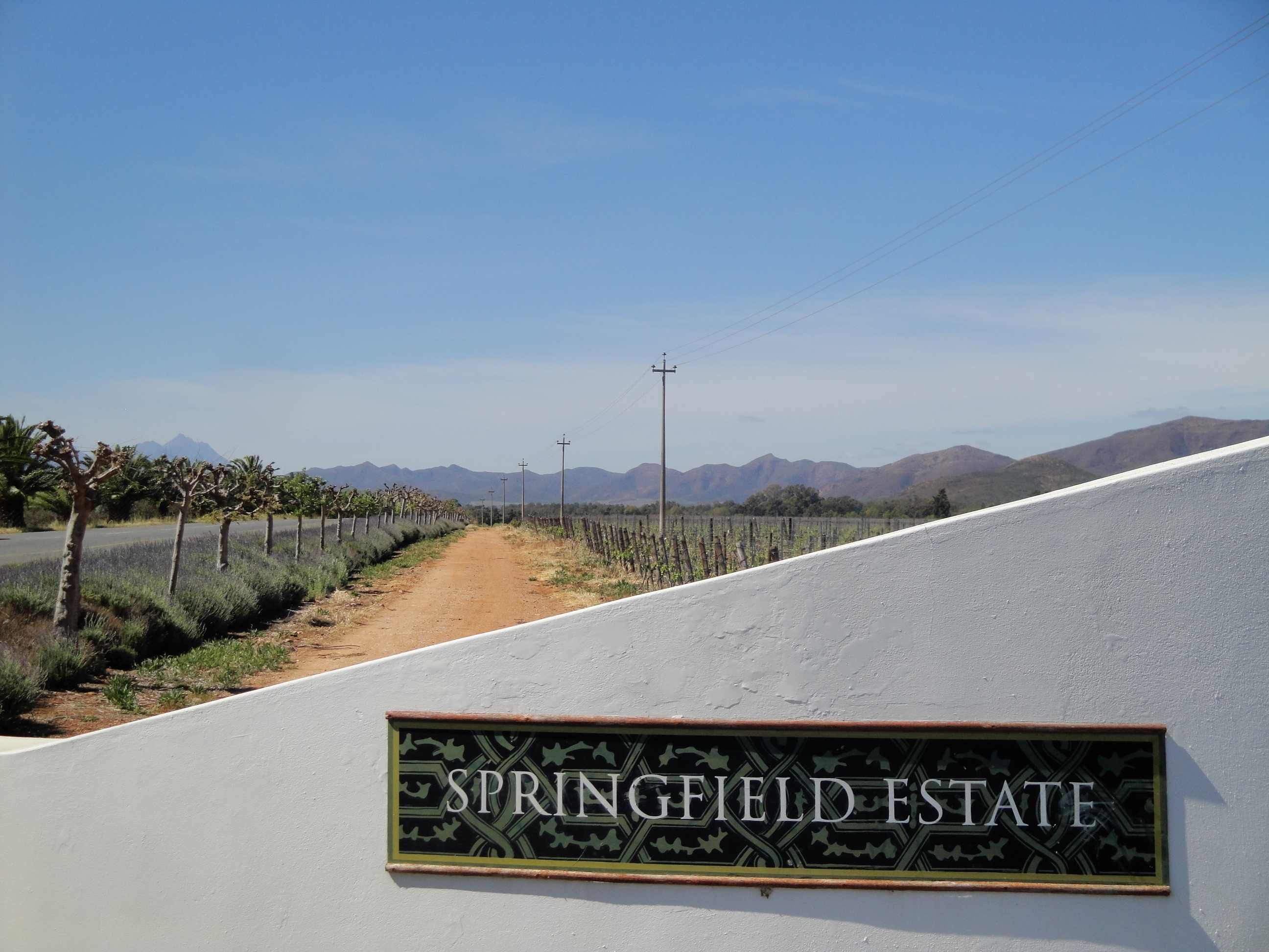 Blog - WOW (October w5): Springfield Estate Special Cuvee | WINE-NOW