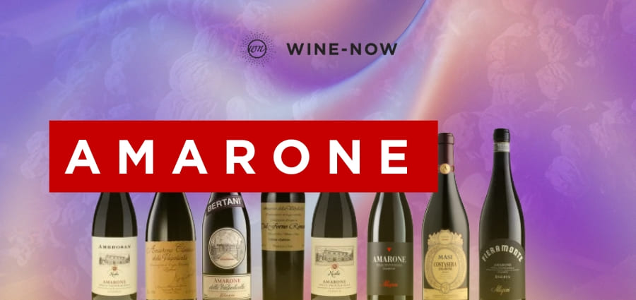 Amarone selection | WINE-NOW