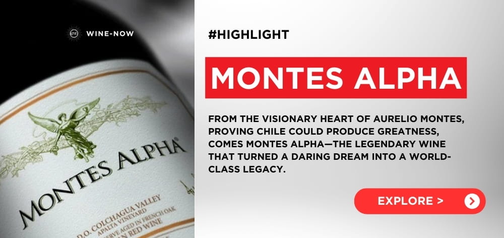 Montes Alpha - Wine-now selection | WINE-NOW
