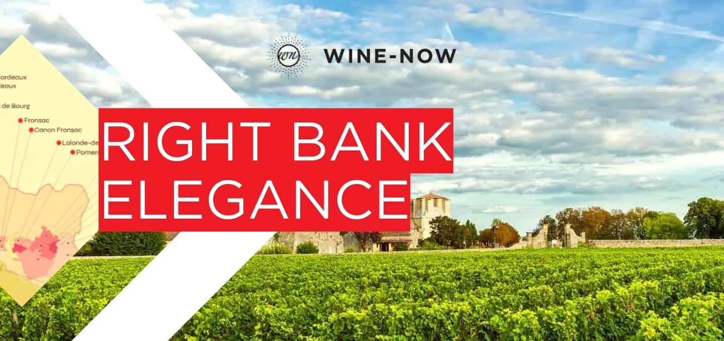 Right Bank Elegance - Wine-now selection | WINE-NOW