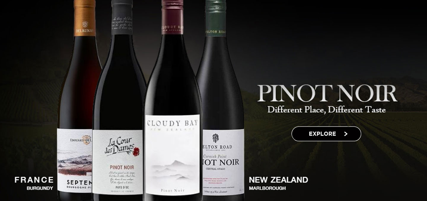 Pinot Noir : France vs New Zealand - Wine-now selection | WINE-NOW