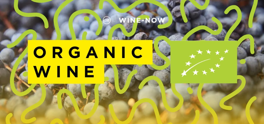 Discover Curated Wine Selections | Premium Wines | Wine-Now Asia | WINE-NOW