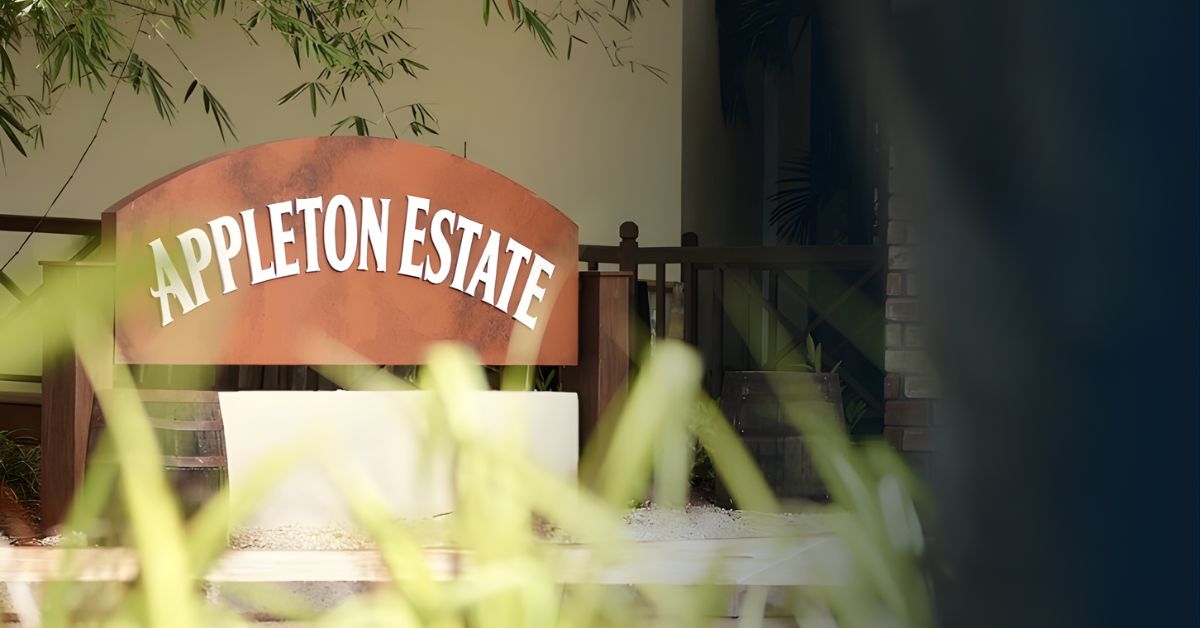 Blog - Appleton Estate – วิญญาณแห่งจาไมกา ที่กลั่นจากเวลาและแสงแดนคาริบ ...