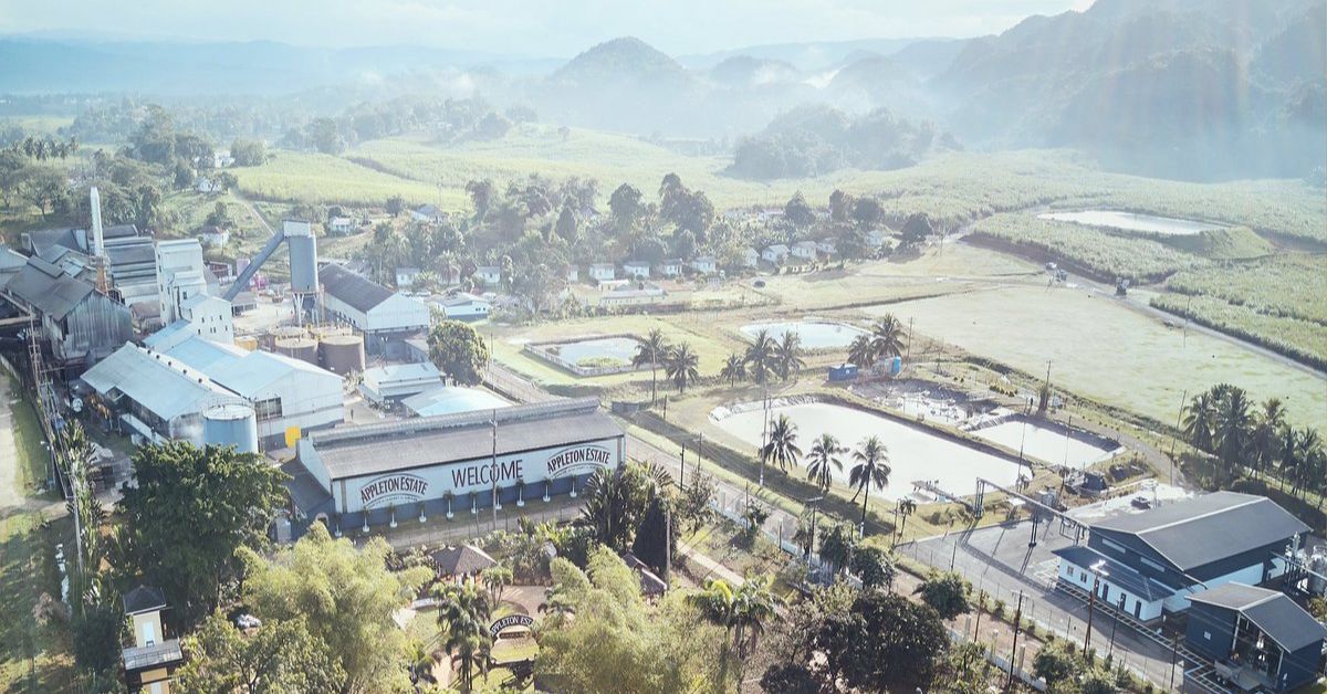 Blog - Appleton Estate – วิญญาณแห่งจาไมกา ที่กลั่นจากเวลาและแสงแดนคาริบ ...