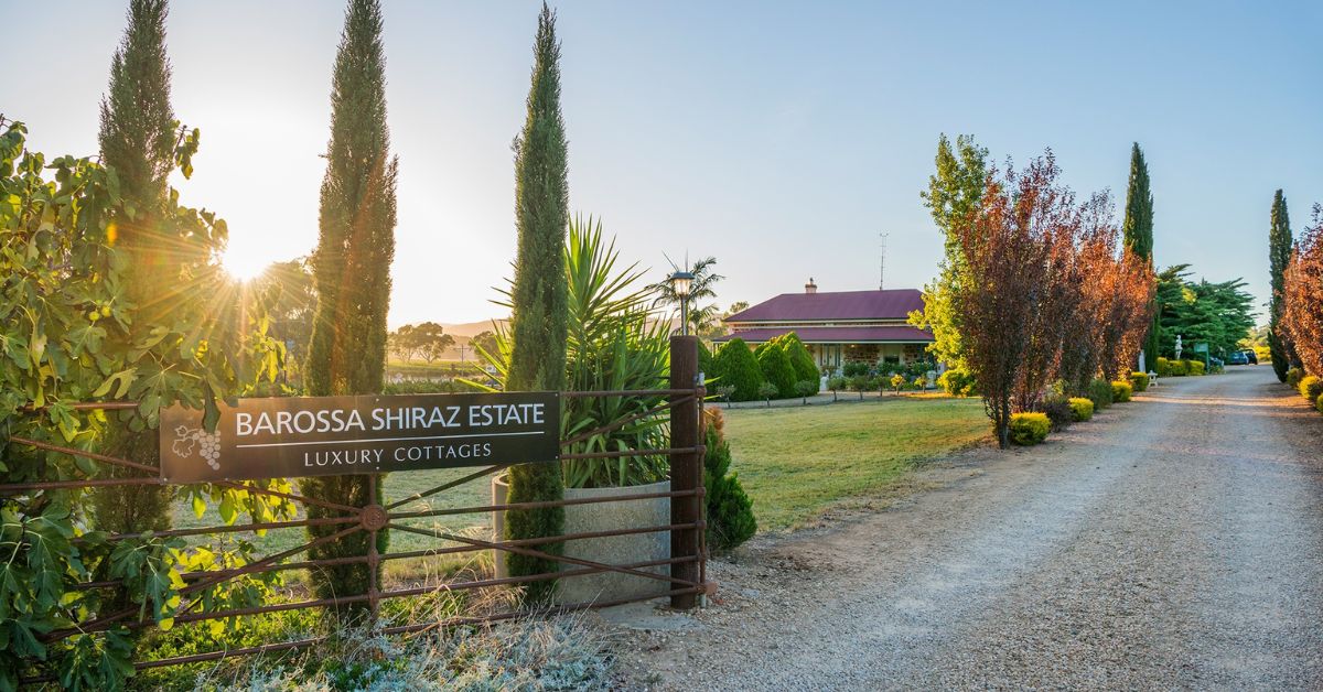 Blog - WINE & TRAVEL EP.4 : Barossa Valley - ดินแดน Shiraz ที่ทรงพลัง ...