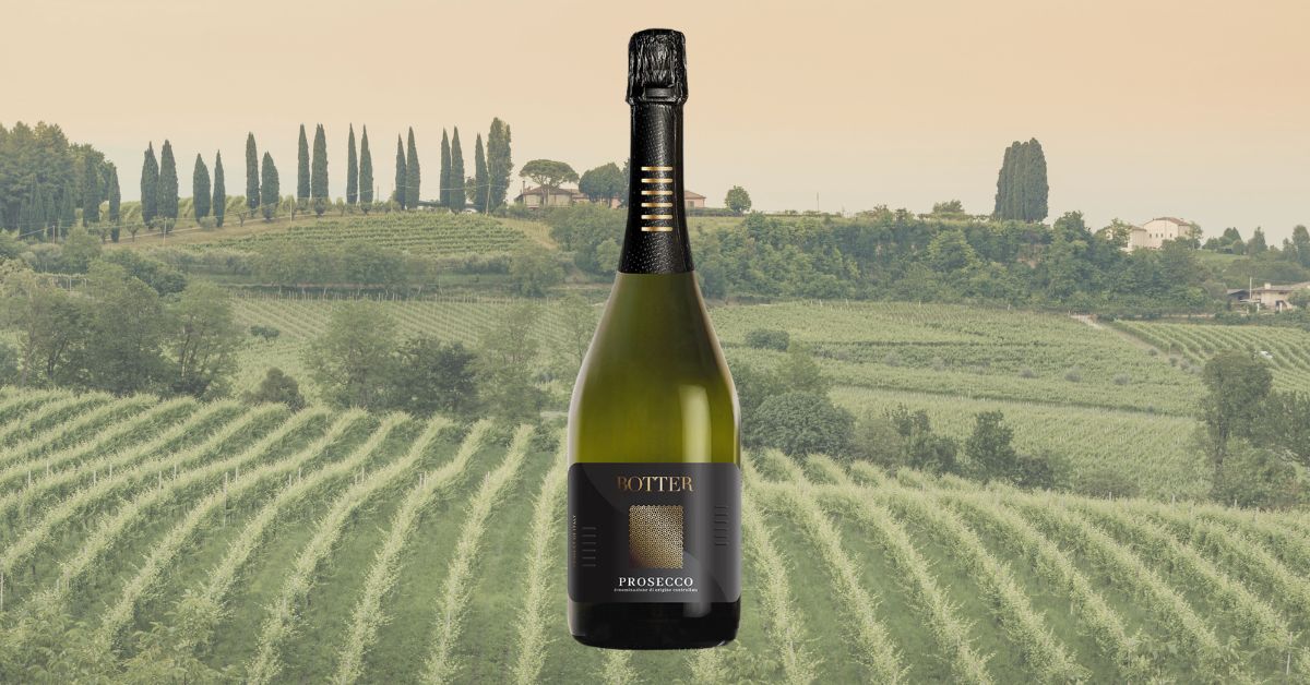 Blog - 10 Recommend Wine August 2025 Week 3 – Piedmont, Mosel ...