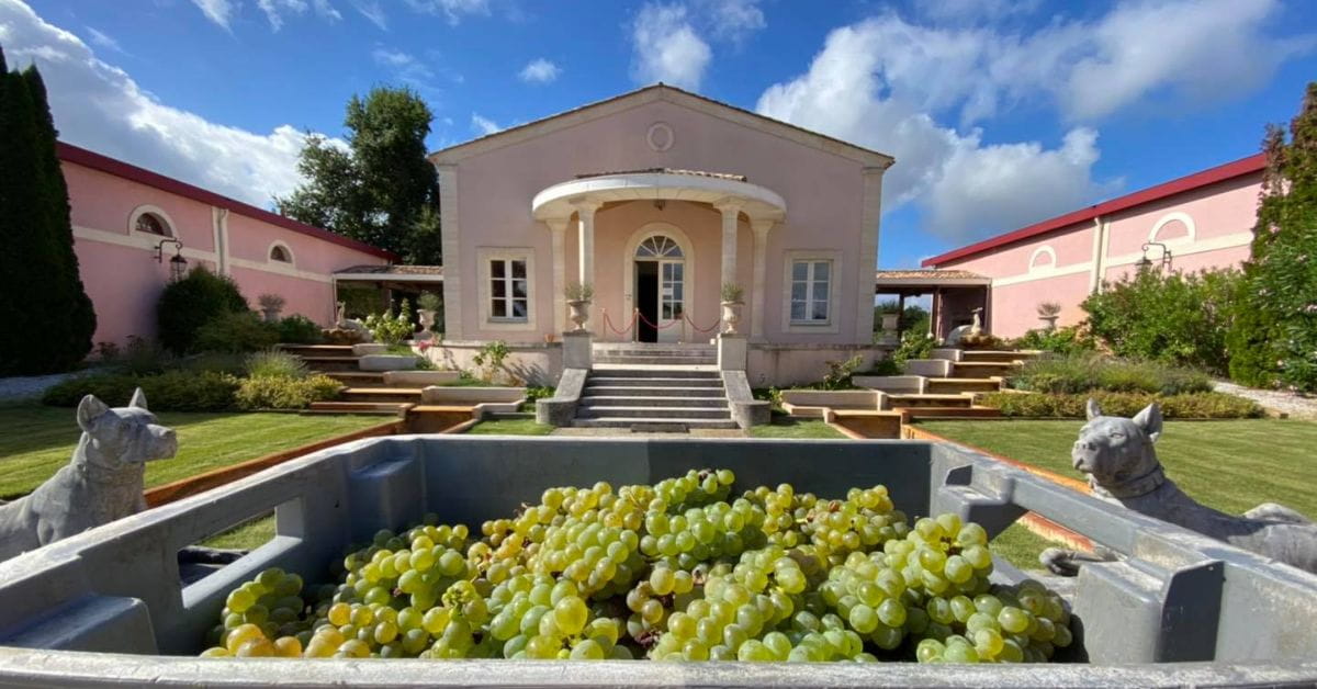 Blog - Château Haut-Bergey – ไวน์แห่ง Graves ที่สะท้อนความสมดุลของ ...