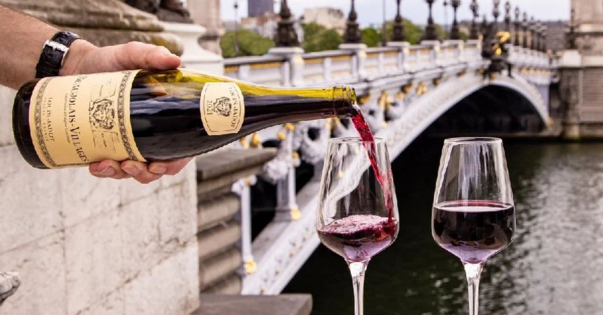 Blog - Louis Jadot – สียงสะท้อนแห่ง Burgundy ที่โลกจดจำ | WINE-NOW