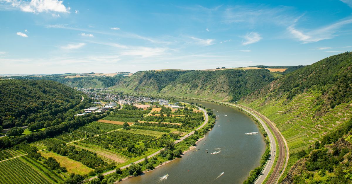 Blog - Germany Mosel Wine – เสน่ห์ไวน์ขาวจากหุบเขาสูงที่เย็นที่สุดใน ...