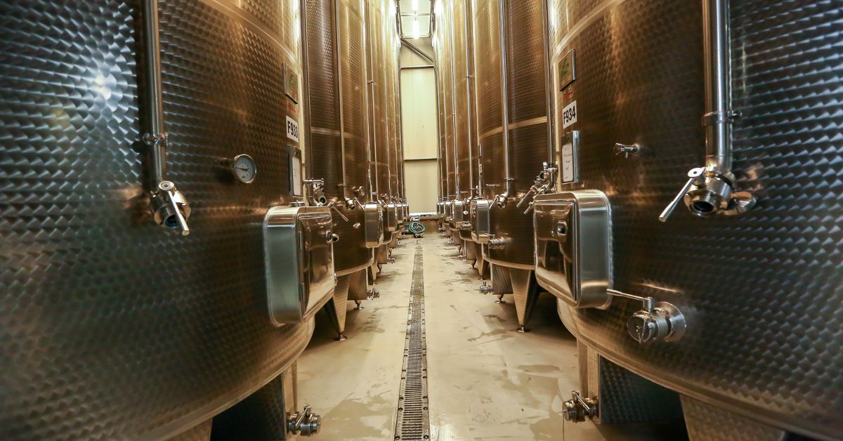 Blog - THE PROSECCO – เสียงฟองแห่งชีวิตชีวาจากอิตาลี | WINE-NOW