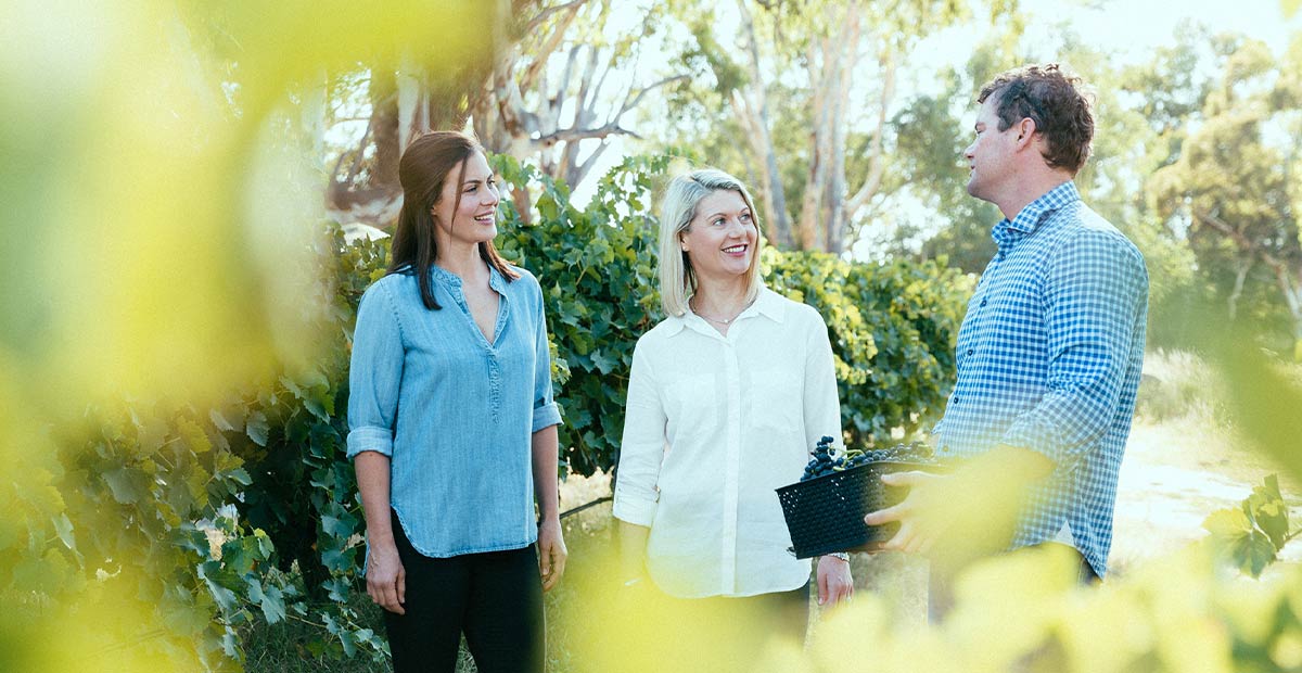 Blog - Angove - Australian Organic Wine ที่ส่งต่อความยอดเยี่ยมมาถึง 5 ...