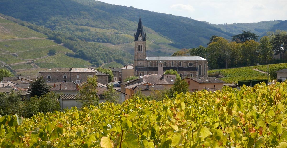 Blog - Georges Duboeuf ผู้ปลุกกระแส Beaujolais Nouveau สู่คอไวน์โลก ...