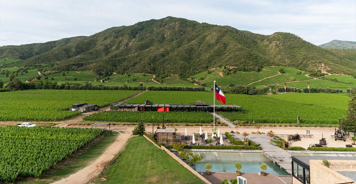 Blog - Montes ไวน์โลกใหม่ ผู้ยกระดับการผลิตไวน์ของ Chile | WINE-NOW